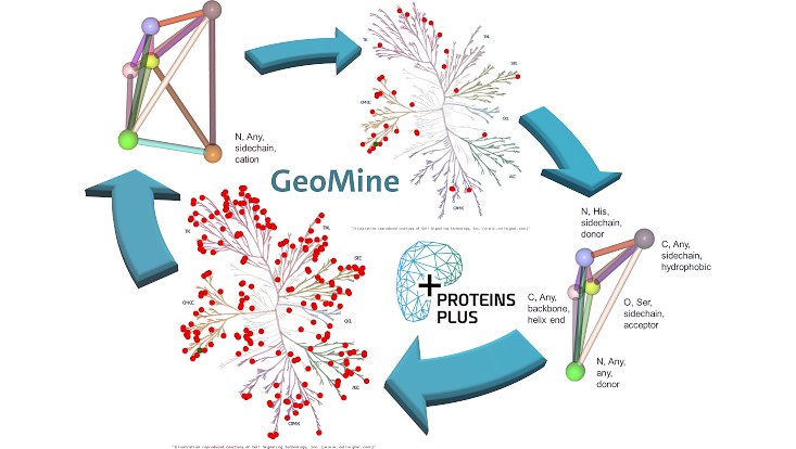 New Paper: Searching Geometric Patterns in Protein Binding Sites and ...